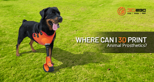 Where can I 3D Print Animal Prosthetics and Braces? | 3D2GO